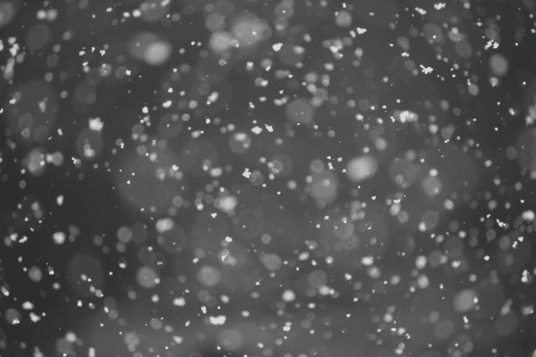 What are the 18 HIPAA Identifiers? – Pilot Digital